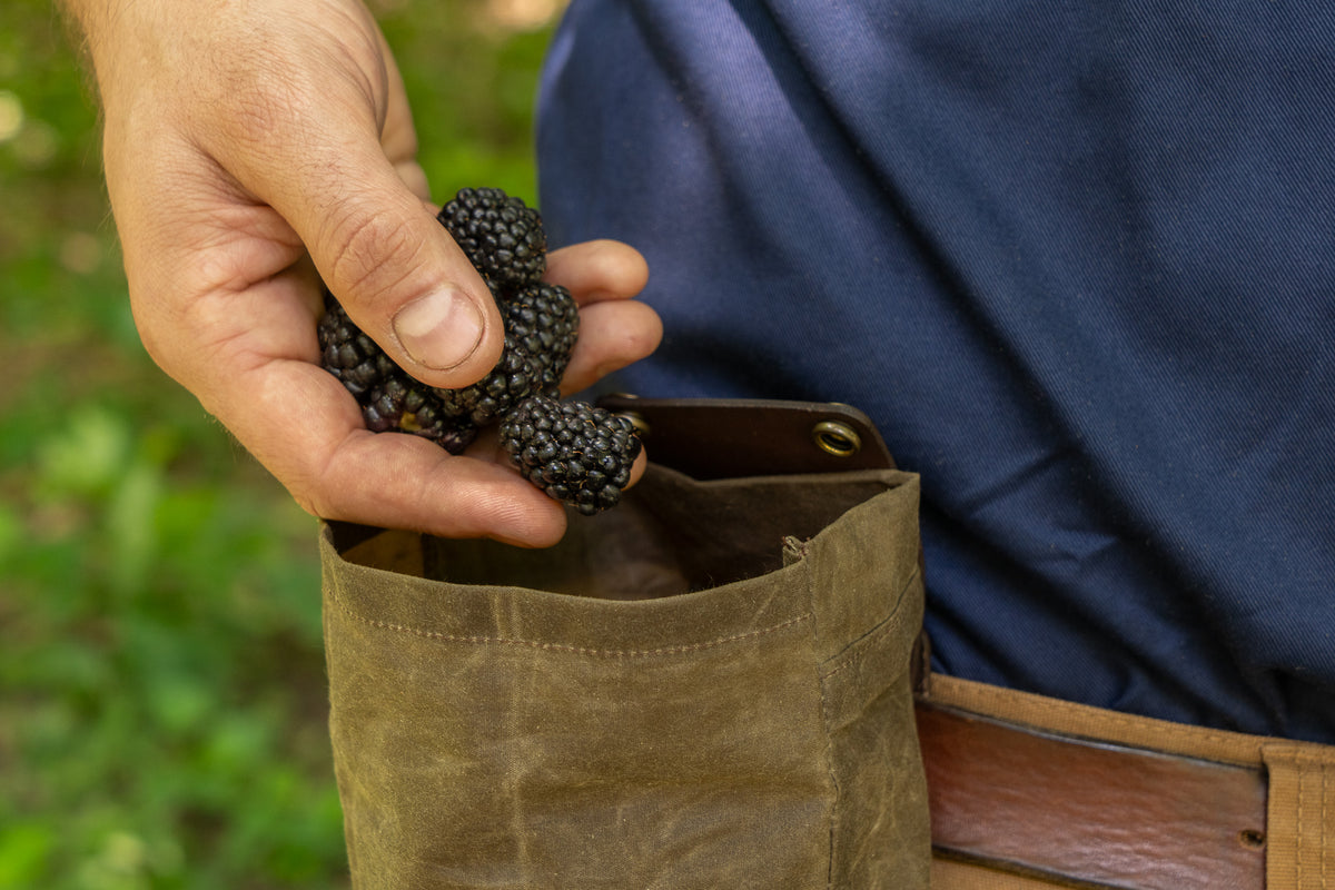 Using your Foragers Bag – Daggerfish