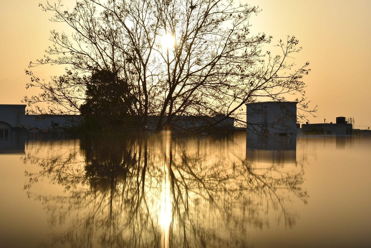 The Ultimate Guide For Finding The Best Midwest Fishing Spots – Daggerfish
