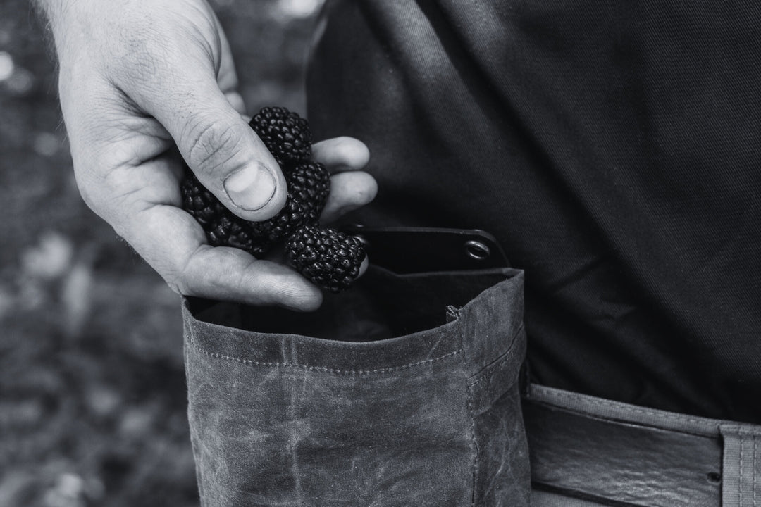 Exploration Equipment – Daggerfish