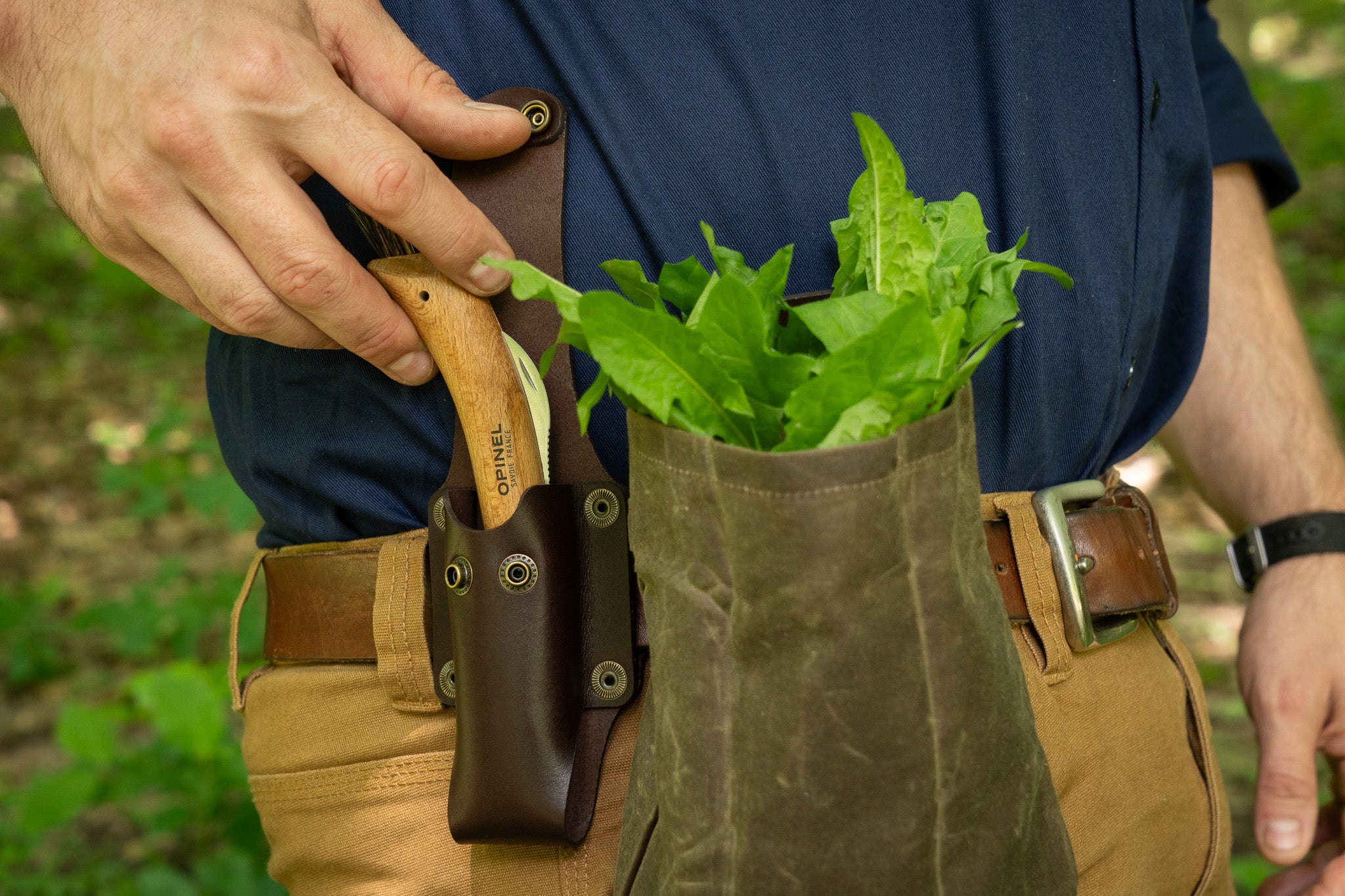 coastal foraging tools