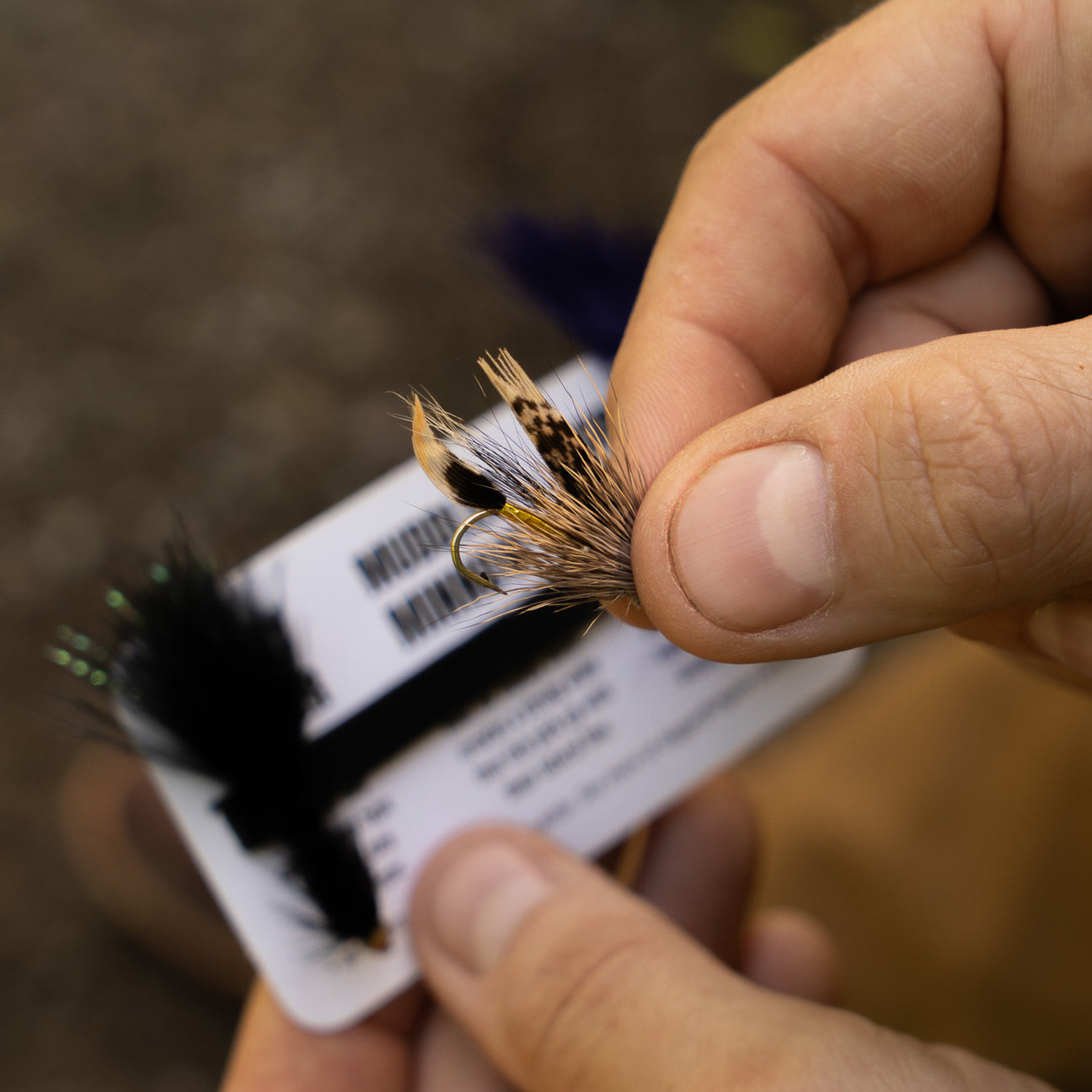 Guide to Hand Line Fishing – Daggerfish