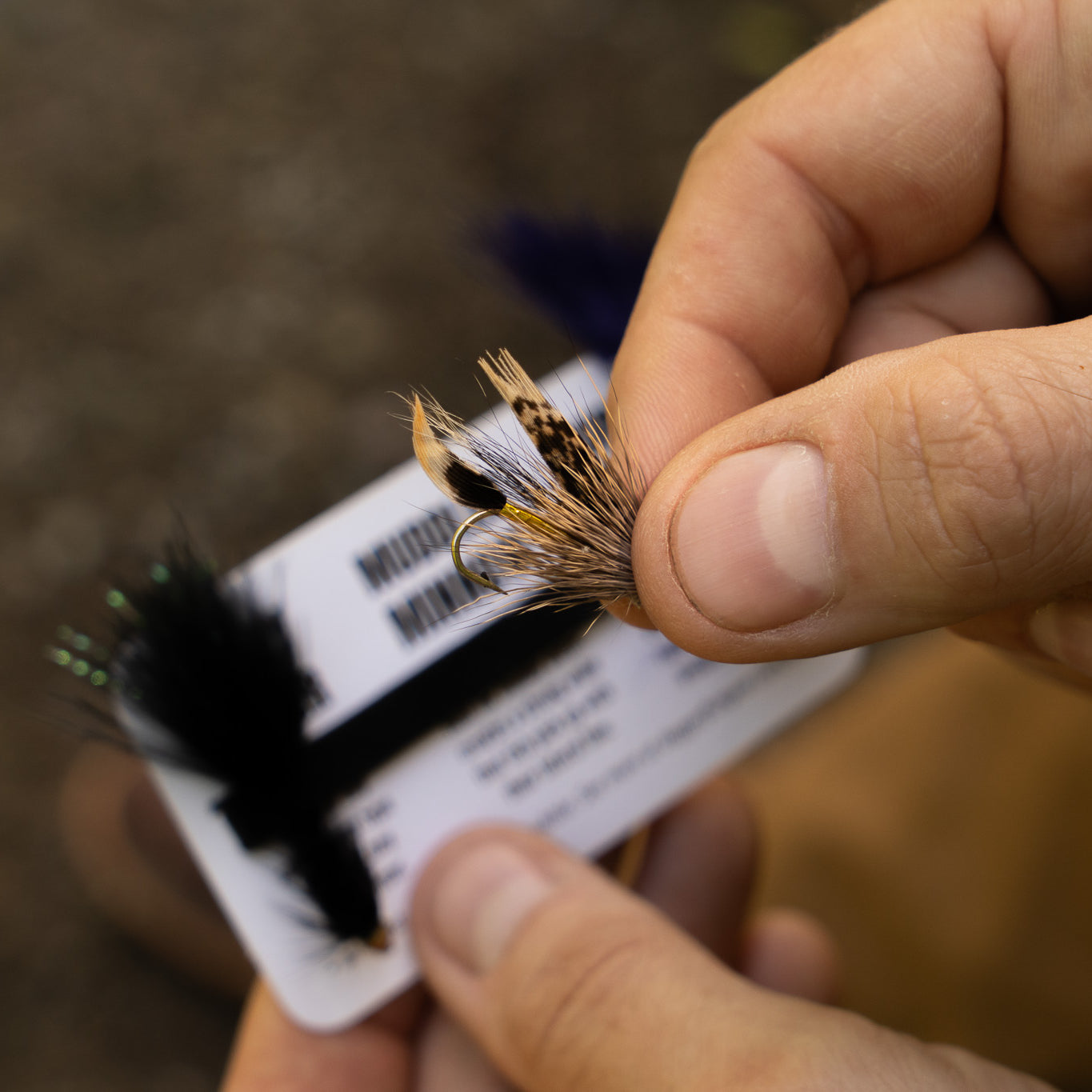 Guide to Hand Line Fishing – Daggerfish