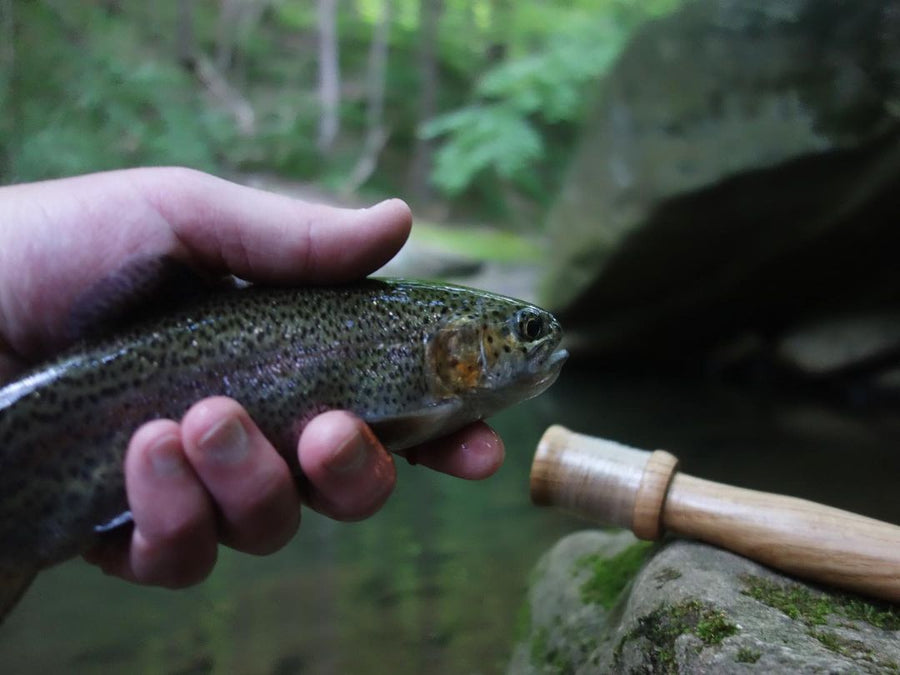 What is Handlining? – Daggerfish