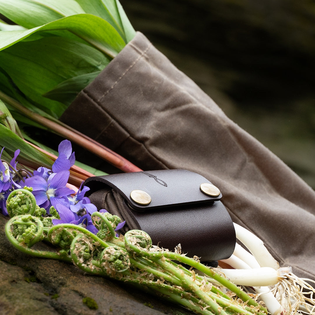 Foraging Kit – Daggerfish