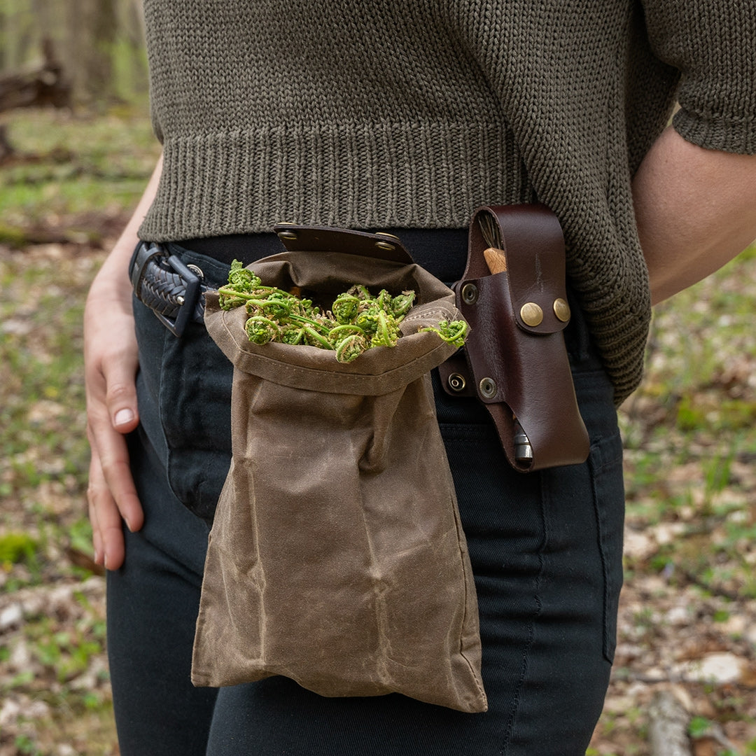 Foraging Kit – Daggerfish