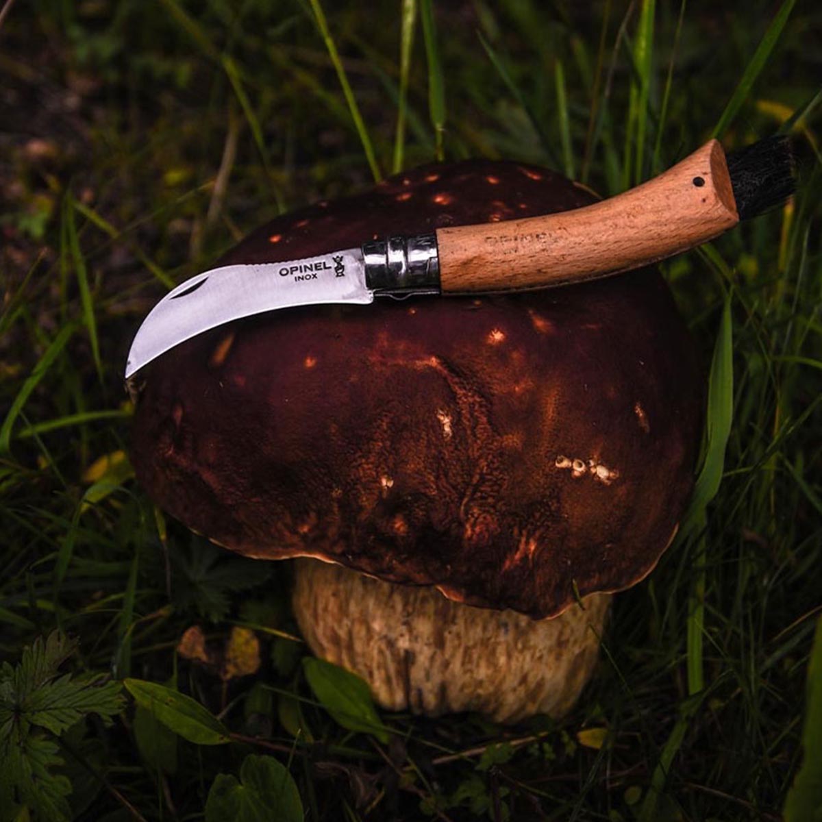 Opinel No. 08 Mushroom Knife – Daggerfish
